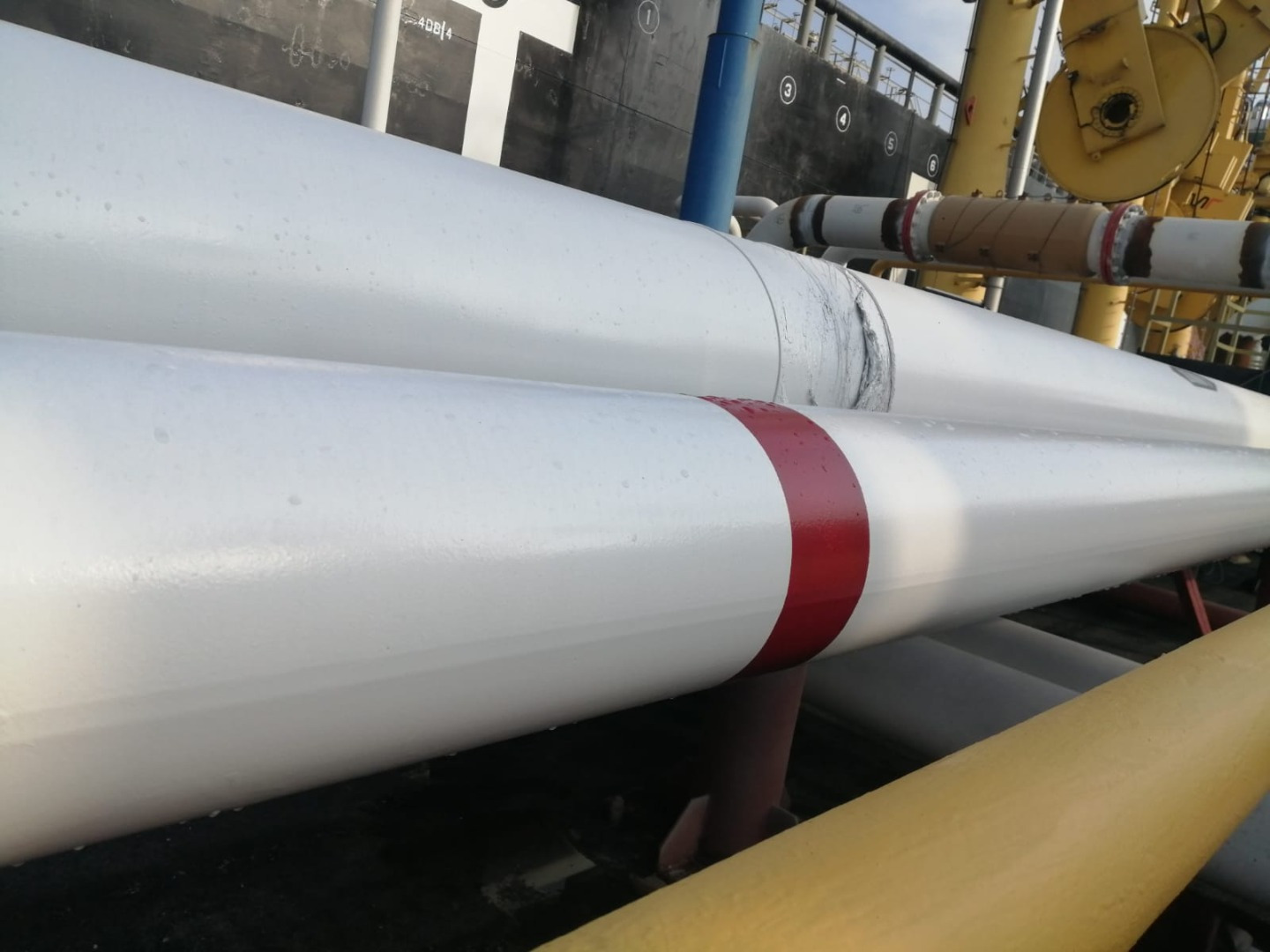 заявка на бесплатные образцы